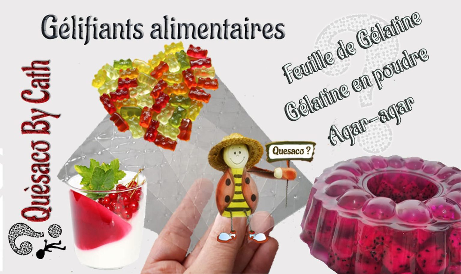 Gélatine en feuille, en poudre ou Agar agar, équivalence