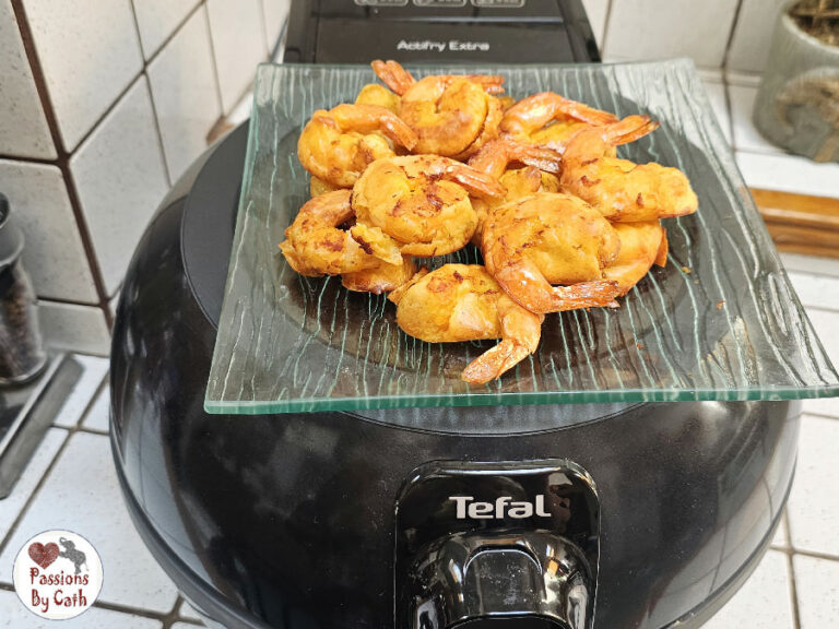 Top 20 des Recettes Actifry, la friteuse sans huile Tefal